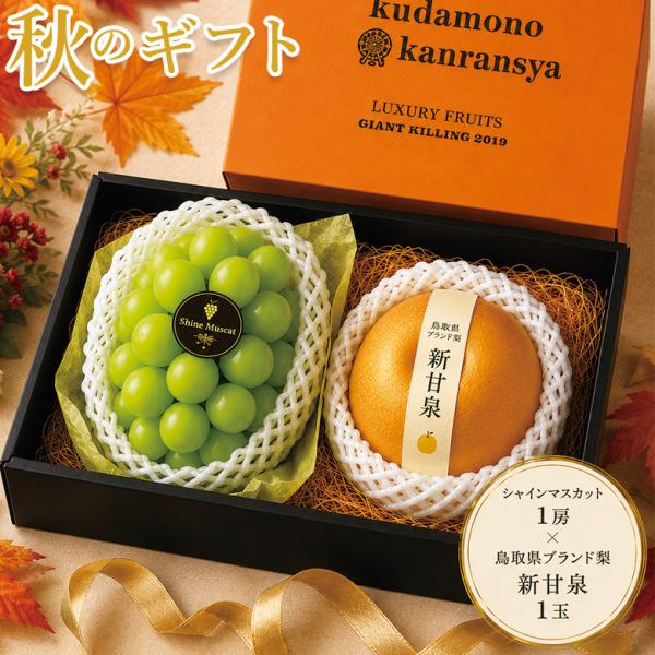 ■商品名：シャインマスカット 新甘泉 セット■内容量・サイズ：シャインマスカット 有名産地地域厳選 秀品1房 約600g 新甘泉 秀品1玉 大玉400ｇ以上■保存方法・賞味期限：常温、商品到着後早めにお召し上がりください。■生産地：産地厳選...