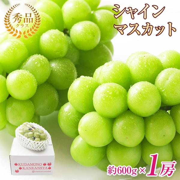 ■ブランド：シャインマスカット■商品名：シャインマスカット■内容量・サイズ：秀品 約 600g 1房■保存方法・賞味期限：常温、商品到着後早めにお召し上がりください。 ■生産地：地域厳選■販売期間：8月下旬〜■販売者：株式会社GIANTKI...