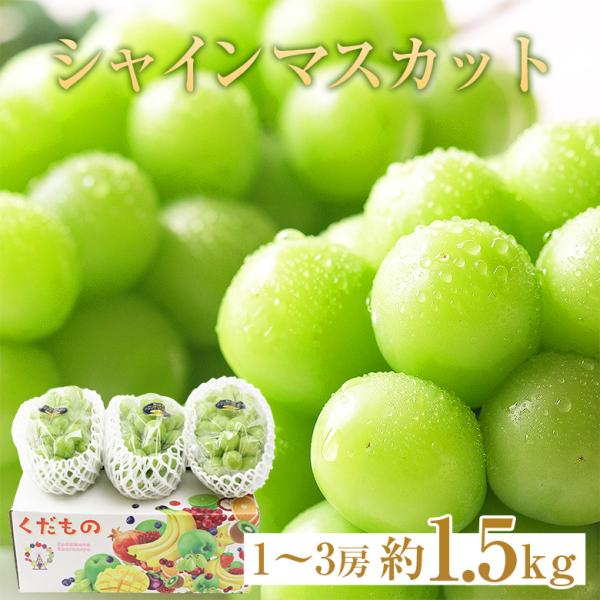 ■ブランド：シャインマスカット■商品名：シャインマスカット■内容量・サイズ：ご家庭用 約 1.5kg 1〜3房■保存方法・賞味期限：常温、商品到着後早めにお召し上がりください。 ■生産地：地域厳選■販売期間：8月下旬〜■販売者：株式会社GI...