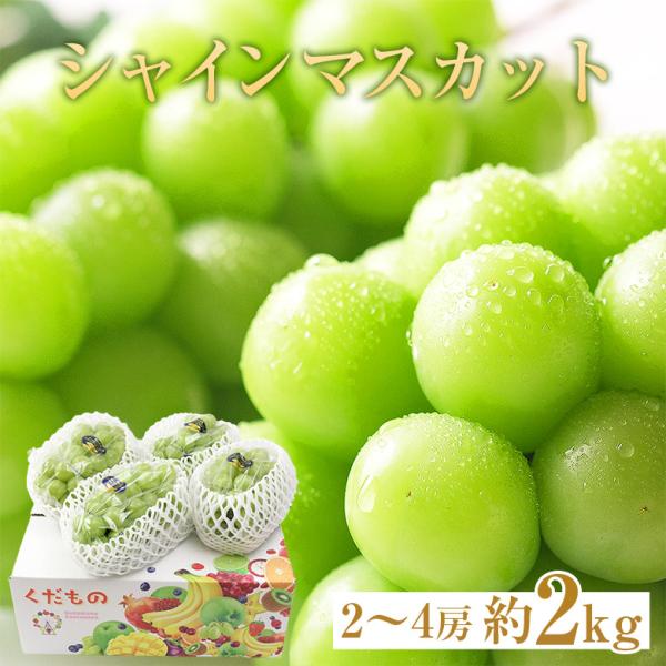 ■ブランド：シャインマスカット■商品名：シャインマスカット■内容量・サイズ：ご家庭用 約 2kg（1.8kg〜2kg） 2〜4房■保存方法・賞味期限：常温、商品到着後早めにお召し上がりください。 ■生産地：地域厳選■販売期間：8月下旬〜■販...