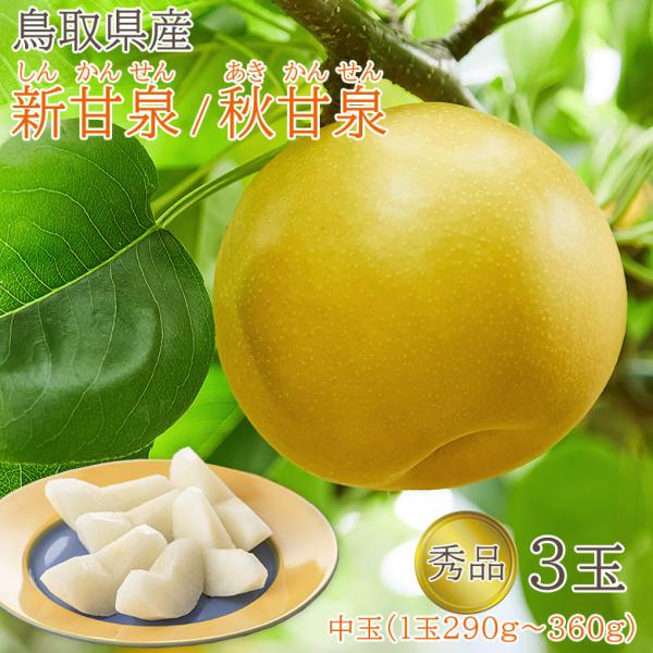 ■商品名：新甘泉/秋甘泉■内容量・サイズ：中玉 3玉(1玉 290g〜360g) ■保存方法・賞味期限：常温、商品到着後早めにお召し上がりください。■生産地：鳥取県■販売者：株式会社GIANTKILLING ■クール便：選択可能 対応・クー...