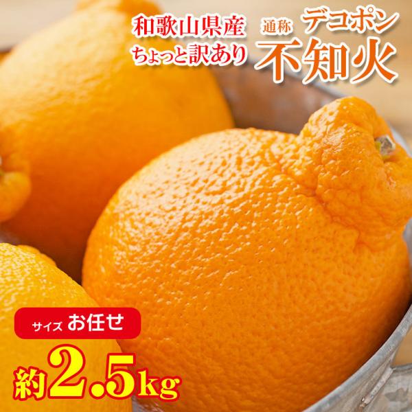 ■商品名：不知火(デコポン) ■内容量・サイズ：サイズお任せ 約2.5kg■保存方法・賞味期限：常温、商品到着後早めにお召し上がりください。■生産地：和歌山県■販売期間：2月中旬〜3月末■販売者：株式会社GIANTKILLING ■クール便...