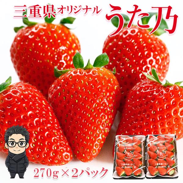 ■商品名：三重県オリジナルのイチゴ「うた乃」■内容量・サイズ：270g ×2pc■保存方法・賞味期限：常温、商品到着後早めにお召し上がりください。■生産地：三重県■配送に関するご注意：発送開始後はご注文より10営業日以内に発送いたします。（...