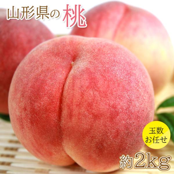 ■商品名：山形県 産地直送 桃■内容量・サイズ：訳あり 約1.8kg 〜 2kg 玉数おまかせ ■保存方法・賞味期限：常温、商品到着後早めにお召し上がりください。■生産地：山形県■販売期間：7月中旬以降より順次ご発送※自然相手の商品の為、発...