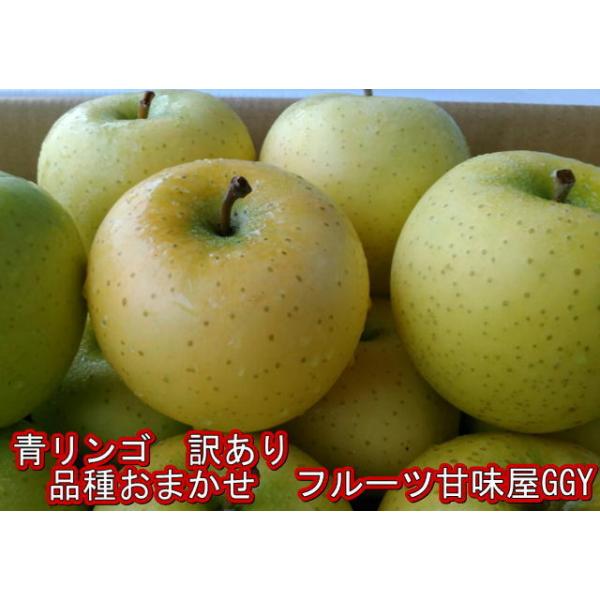 ここ熊本、田崎市場に毎日続々入荷中！その時期により旬なりんご【きおう・トキ・シナノゴールド・王林】などをお届けします。りんご・林檎・リンゴ・キオウ・黄王・とき・信濃ゴールド・おうりん・オウリン・青森・長野・信州・山形・訳あり・10キロ・送料無料