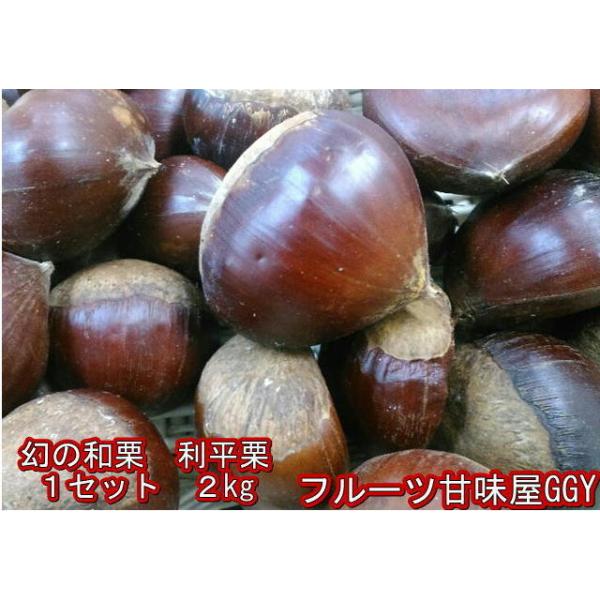 2箱購入で1ｋｇおまけ！希少品・和栗・栗・利平・幻・熊本・訳あり・送料無料・おまけ