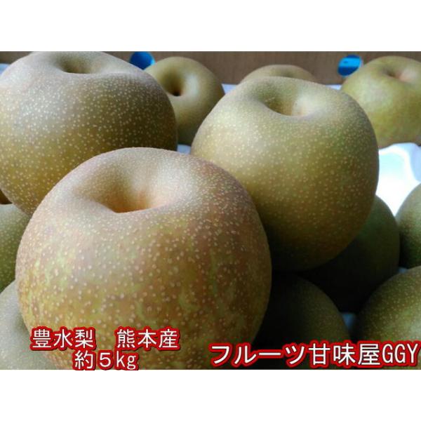 なし・梨・ナシ・幸水・幸水梨・幸水なし・幸水ナシ・送料無料・甘い・あまい・美味しい・熊本