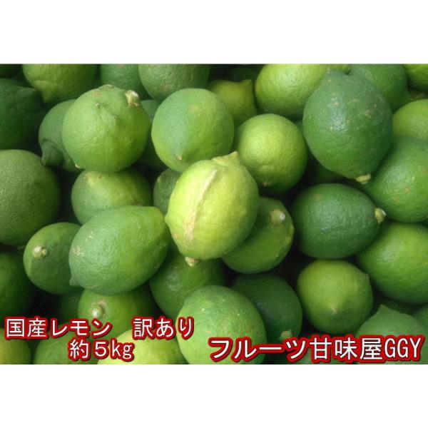 安心、安全な国産レモンの訳あり品です。成りキズ、変形、青いものなど1箱5キロにてお届けします。レモン・国産レモン・国産・送料無料・訳あり・5キロ