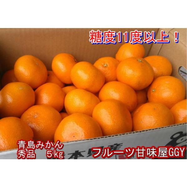 青島みかんの秀品糖度11度以上厳選！入荷した生産者のみかんを計測・試食し信頼できる生産者のみかんをお届けしますサイズ2L・L・M・S（指定不可）1箱5kgみんな大好き♪くまモン段ボールでお届けします食べ頃　1週間以内の物をお届けします。生も...