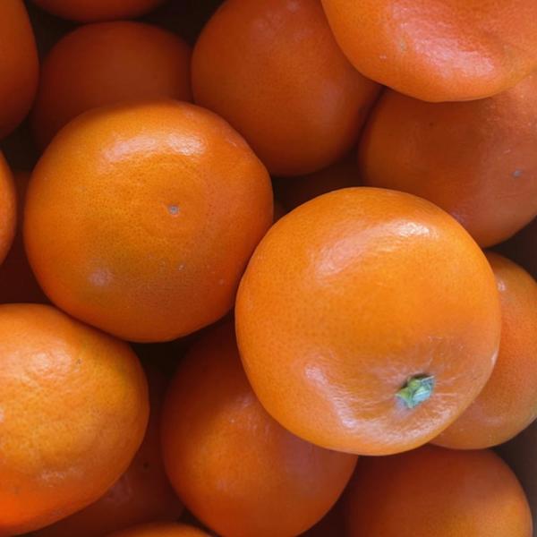 当店オリジナルブランド『あっぱれ』新品種の柑橘です正式品種名　EC12糖度が高く酸味が少ないその美味しさ『あっぱれ！』「はれひめ」と「あすみ」を掛け合わせできた新品種です。糖度が高く酸味が少ない手で剥けますデコポンみたいに稀に種があります熊...