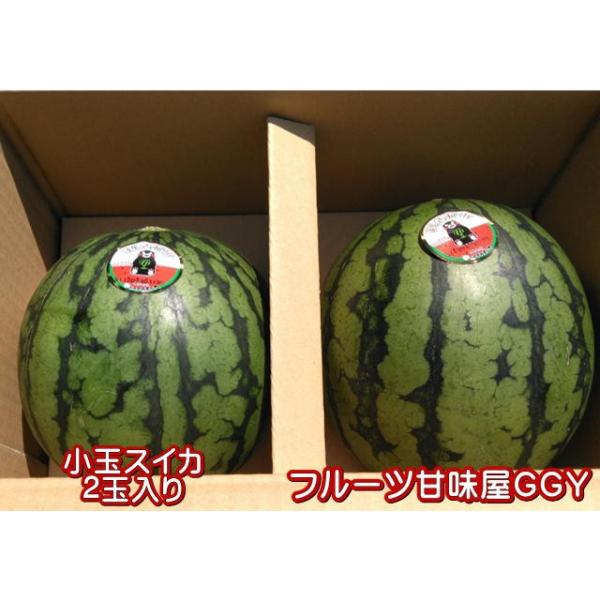 小玉スイカ（ひとりじめ・まなむすめ・スイートキッズ・黒小玉など）旬な品種をお届け！1玉約1.2ｋｇ前後×2玉入り熊本の小玉スイカの旬は4月〜6月です一番果の美味しい小玉スイカのシーズンです大玉スイカより味が凝縮し糖度が高い傾向にありますすい...