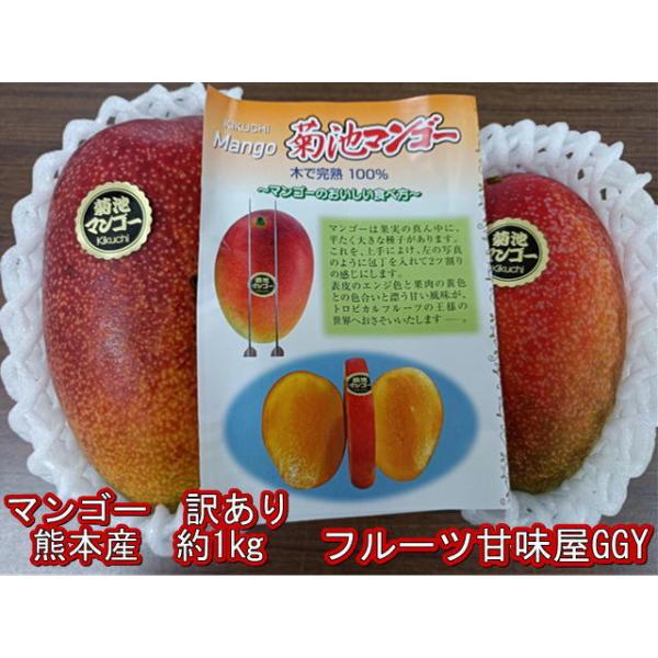 希少品　熊本産　完熟マンゴーですお試し　約1ｋｇクール便にてお届けしますマンゴー訳あり　加工用　規格外変形や形がいびつなもの、しわ、黒点、キズなど見た目に訳はありますが一皮剥けば正規品と変わらない！マンゴー・完熟・1キロ・クール便・熊本・ト...
