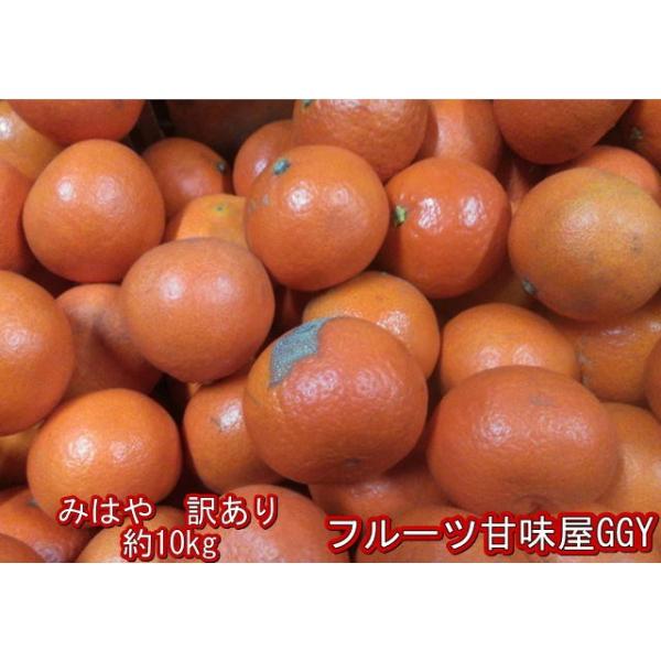 赤橙色したみかん　アンコールの香りを持つ甘味が強く酸味が少ない種はあります皮が固いのでスマイルカットでお召し上がりくださいみはや・みかん・訳あり・送料無料・10キロ