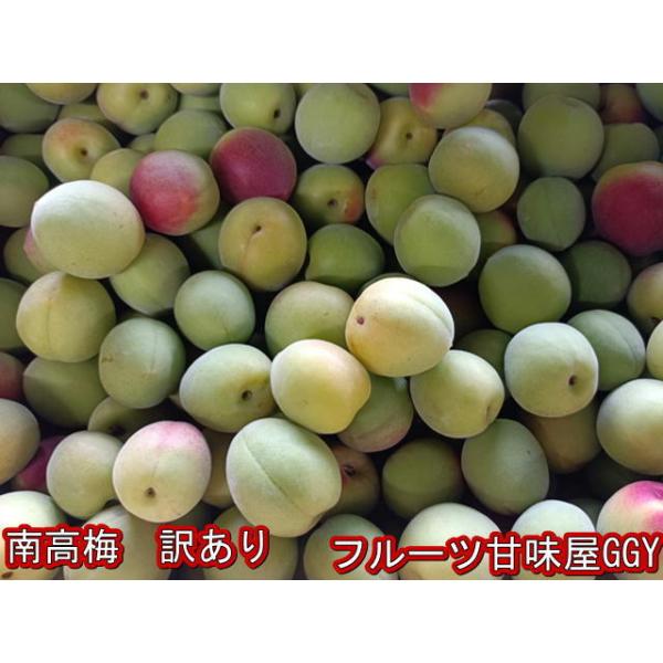 熊本産・福岡産の南高梅の訳あり品ですサイズ不選別M以上常温便での発送になります梅干、梅ジャム、梅酒に使い方いろいろ♪南高梅・うめ・送料無料・熊本・10キロ・梅酒・梅干・漬け梅・ジャム