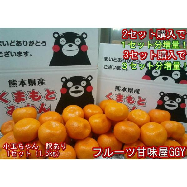 ２セット購入で１セットおまけ！３セット購入で3セットおまけ！当店　年間人気No.1熊本みかん訳ありの小玉限定品味をギュッと濃縮♪味に、定評のある熊本みかんを赤字覚悟で・超特価にて販売！！サイズはＳ〜３Ｓ・黒点・シミ・キズなども入りますが、中...