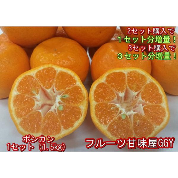 ２セット購入で１セットおまけ！３セット購入で3セットおまけ！擦れキズ少々黒点などのお得な訳あり、ポンカンです。サイズは大、中、小、指定不可ポンカン・ぽんかん・熊本・天草・甘い・美味しい・10キロ