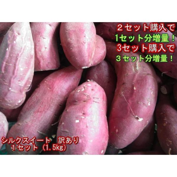 ２セット購入で１セットおまけ！３セット購入で3セットおまけ！新物はどちらかと言うとホクホクした食感です新物ならではの味をお楽しみくださいさつまいも・シルクスイート・熊本・送料無料・新物・蜜芋・スイートポテト・スイーツ・トロトロ・甘い・ホクホ...