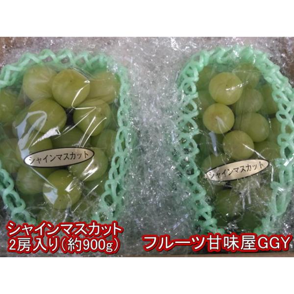 種無し皮ごと食べられる　空前のシャインマスカットブームですよね♪熊本・福岡・大分でもついに生産　始まりました！是非　熊本・福岡・大分のシャインマスカットもご賞味くださいね♪シャインマスカット・熊本・送料無料・クール便・1キロ・種無し・青ぶど...