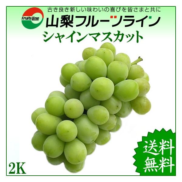 シャインマスカット 贈答用 山梨 約2kg 秀 満杯詰 残暑御見舞い シャインマスカット 贈答用 山梨 約2kg 秀 満杯詰 残暑御見舞い