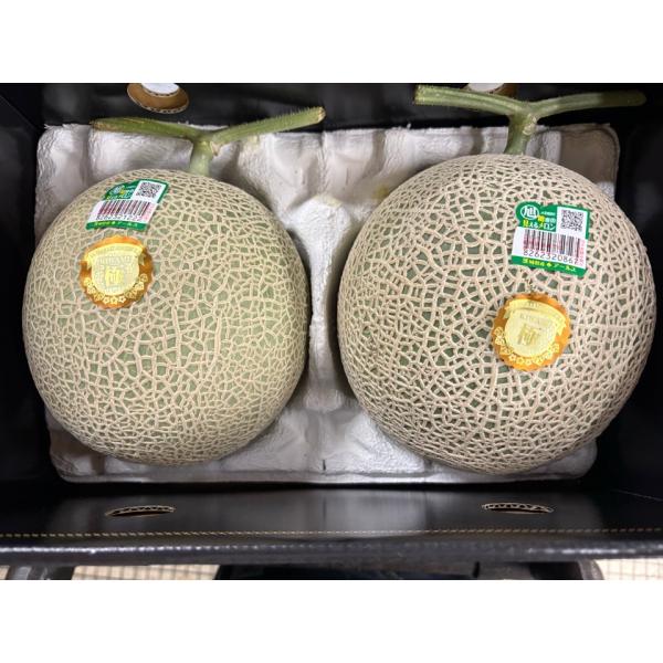 ア−ルスメロン　プレミアム 茨城産 JA茨城旭村　2玉入り　