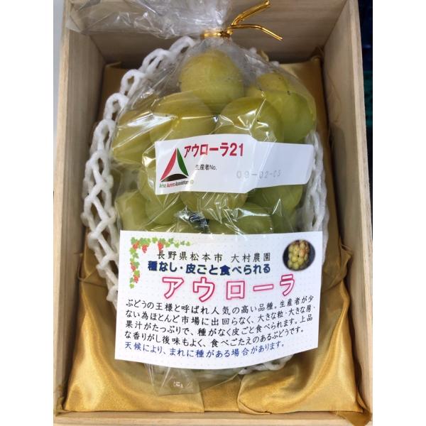 ぶどう　アウローラ21 産地厳選　1房　約800g以上