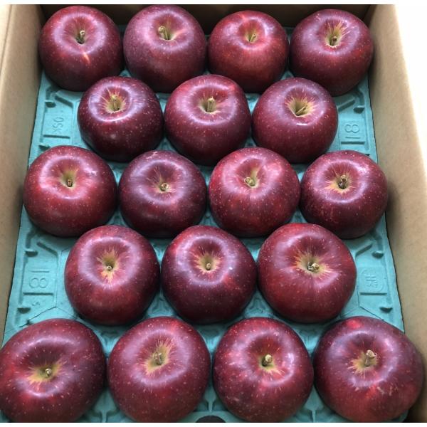 紅いわて 岩手産 特秀 18玉入り 約5kg