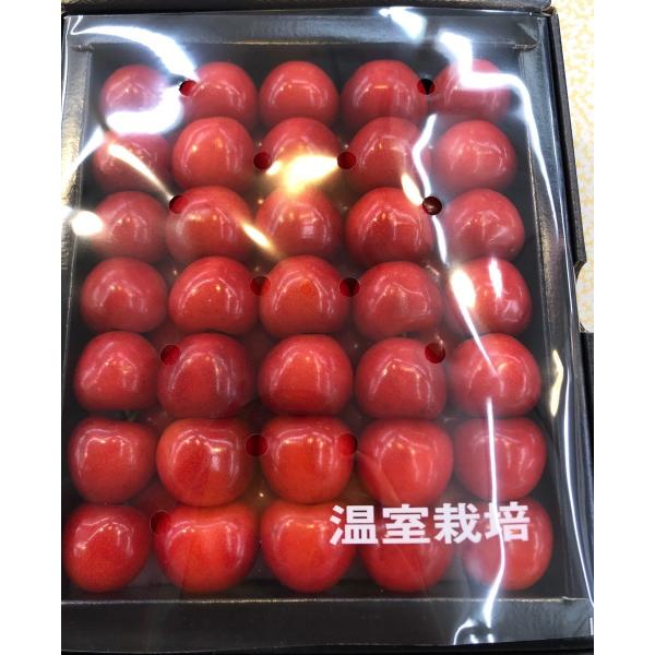 山形産紅秀峰、特秀2L~3Lサイズ500g化粧箱入りです。紅秀峰の特徴はなんといっても実の張りです。佐藤錦と比べると実の張りがちがいます。また、佐藤錦よりも酸味が少ないです。店主ゴリオススメです！