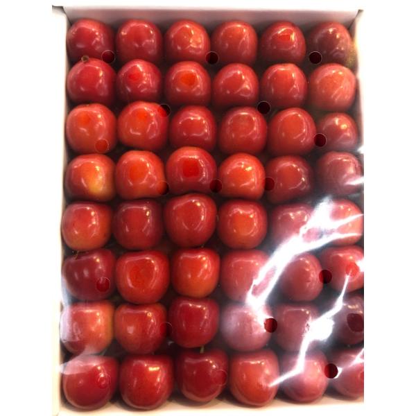 山形産　紅秀峰　特秀品　2L~3Lサイズ　500g 化粧箱