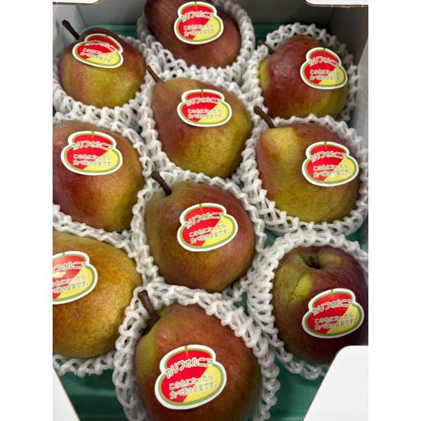 赤い洋なし カリフォルニア  山形産 9〜12玉 特秀 化粧箱