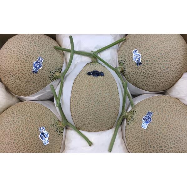 クラウンメロンの全体量を6割占めているのが白等級です。見た目にほんの少し難ありとされるものですが、１クラス上の山等級と大きな差はなく、メロンの王様としては価格的にもお手頃なクラウンメロンです。