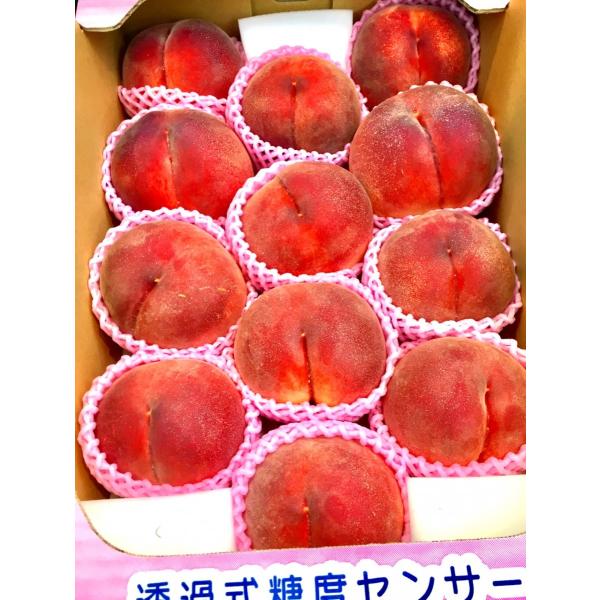 糖度１３度以上が保証されており、山梨県笛吹市御坂（みさか）地区で栽培された桃が「大糖領」と呼ばれ、ブランド化しています。品種は収穫時期によって、白鳳、なつっこ、浅間、一宮白桃、川中島他などです。