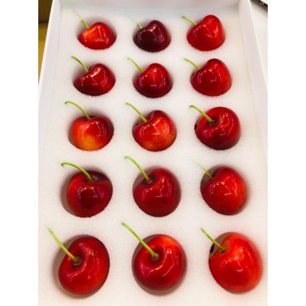 お中元　さくらんぼ　ジュノハート　青森産　大粒　15粒入り