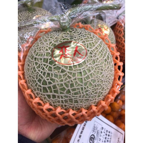 恋人メロン　秀品　1玉　約1.6~1.8kg