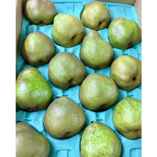 別名を「バター・ペア」と言い、特有の香りとジューシーで緻密な肉質が人気です。