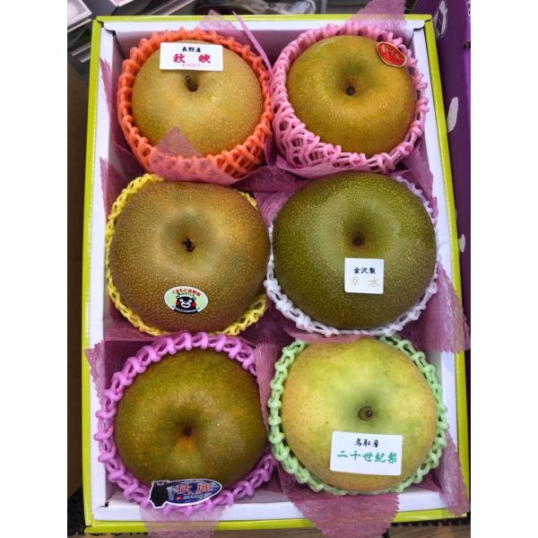 梨　6種類　食べ比べ　産地厳選　化粧箱