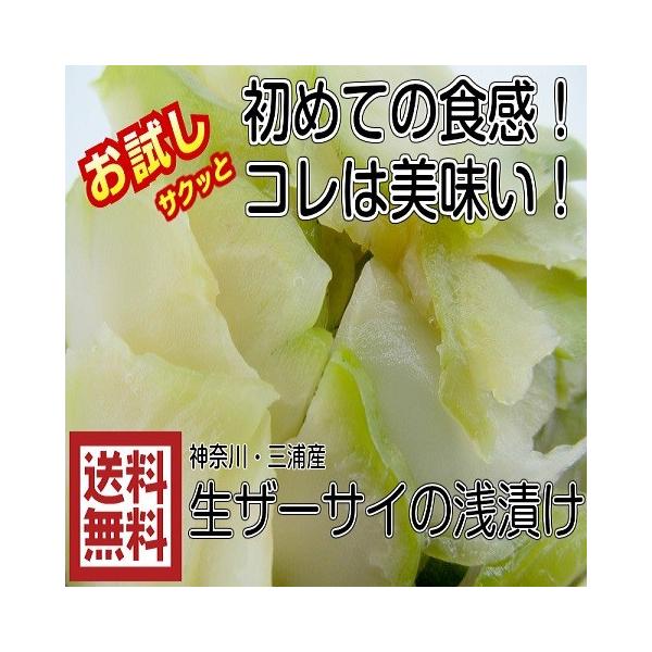 シャキッと 、後引く美味しさ！初めての食感！鉄分や、食物繊維が豊富なのは、知っているけど中国産は・・・・・こちらは、大変珍しい国内産の生ザーサイで作った『浅漬け』です！神奈川県は都会のイメージがありますが、三浦の三崎地区は海に囲まれた中に畑...