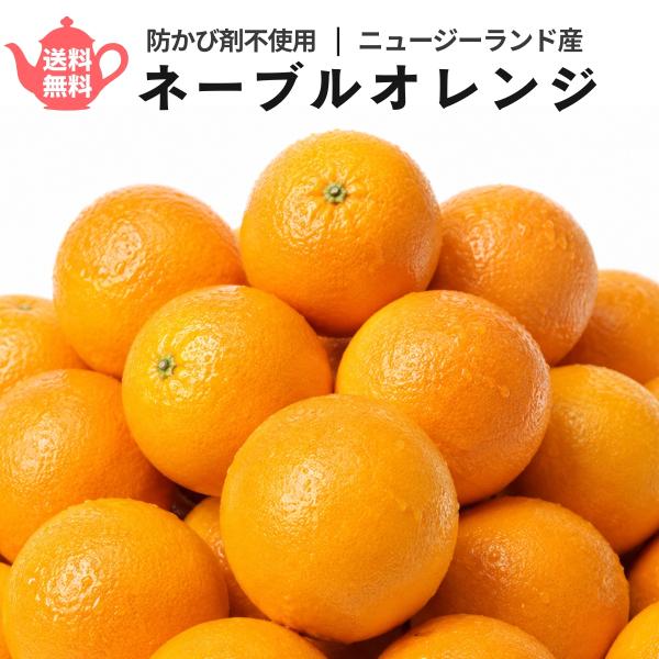 ニュージーランド産（NZ産）のネーブルオレンジです。プチッとはじける果肉と、じゅわっと広がるたっぷりの果汁。まろやかな甘みとほどよい酸味、切りたての爽やかな香りを楽しめます。種が少なく、そのまま生で食べやすいオレンジです。ポストハーベスト農...