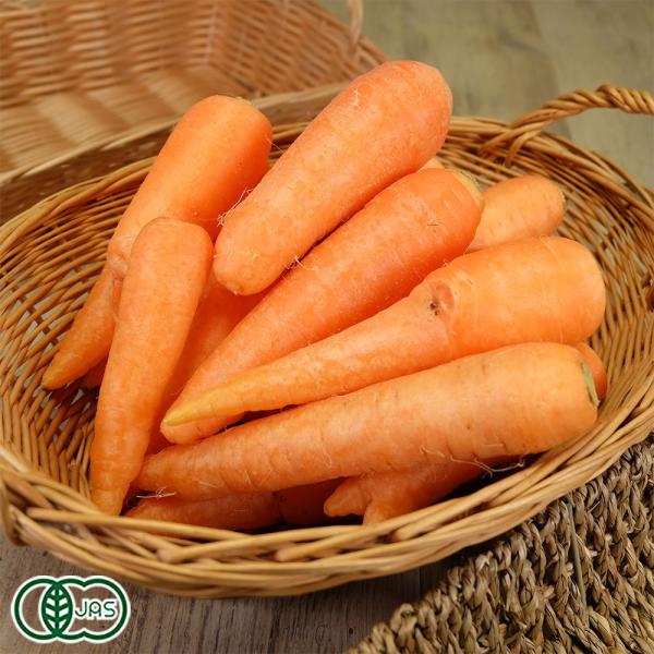にんじん10kgの人気商品・通販・価格比較 - 価格.com