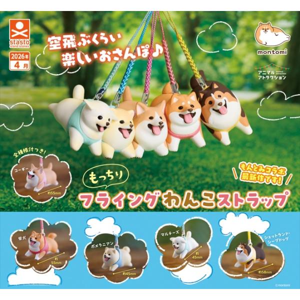 【発売日：2026年04月30日】