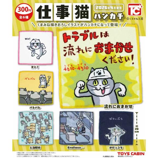 【発売日：2026年04月30日】