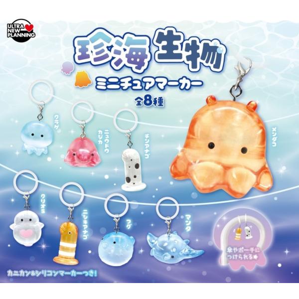 【発売日：2026年05月31日】