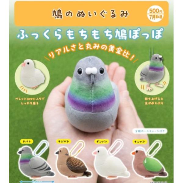 【発売日：2026年07月31日】