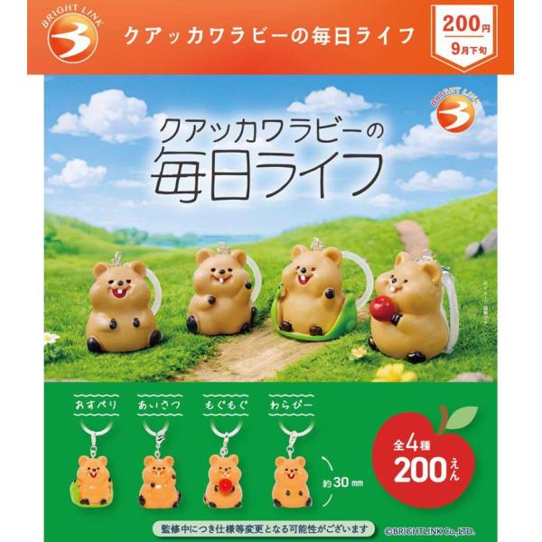 【発売日：2026年09月30日】
