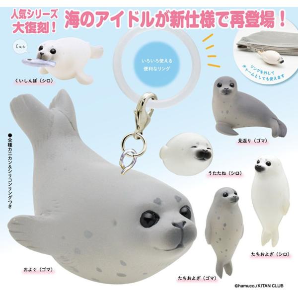 【発売日：2026年09月30日】