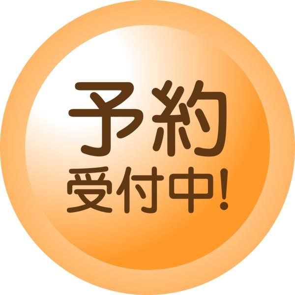 【発売日：2026年11月30日】