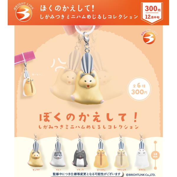 【発売日：2026年12月31日】