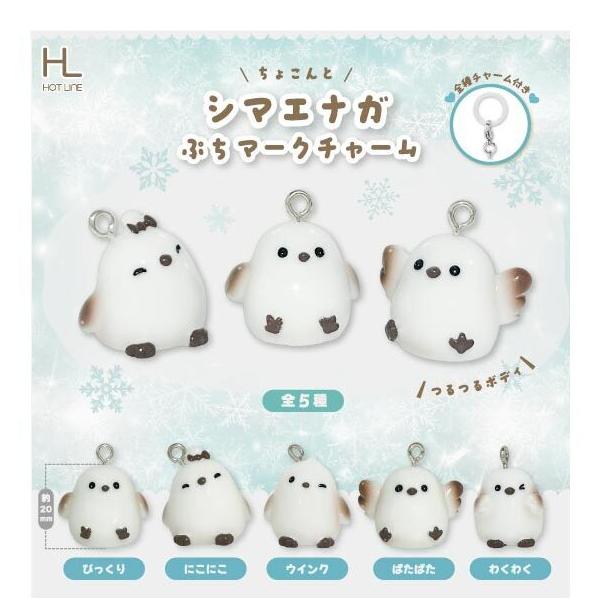 【発売日：2026年12月31日】