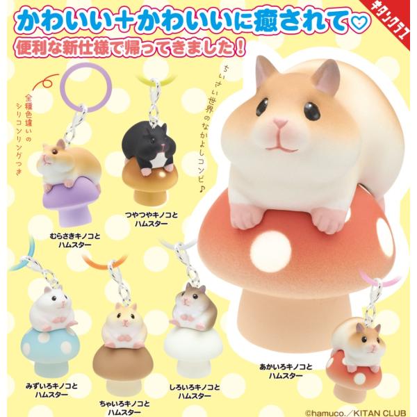 【発売日：2026年12月31日】