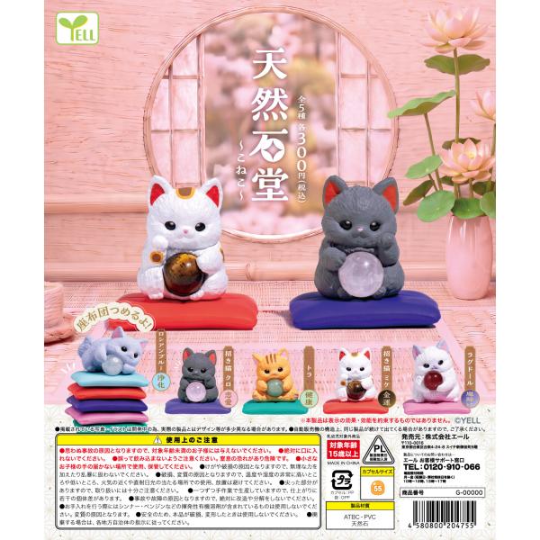 【発売日：2027年01月31日】