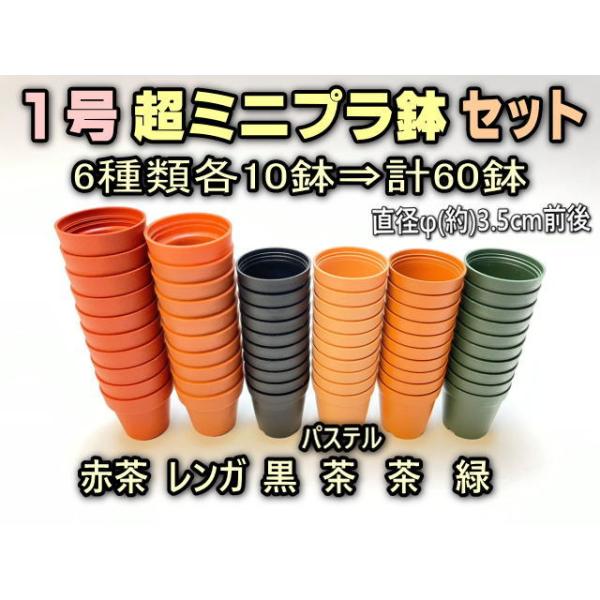 ★お一人様1セット限り！★同じ鉢が含まれる複数のお試しセット品は同時利用禁止！赤茶＋レンガ＋4色(茶系2色)各10個⇒6種の計60個お試しセット価格！